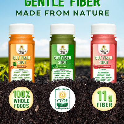 Gut Fiber Shot Box | Farmers Juice
