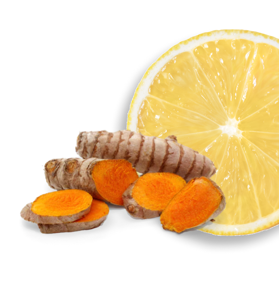 Gut Fiber Shot Box | Farmers Juice