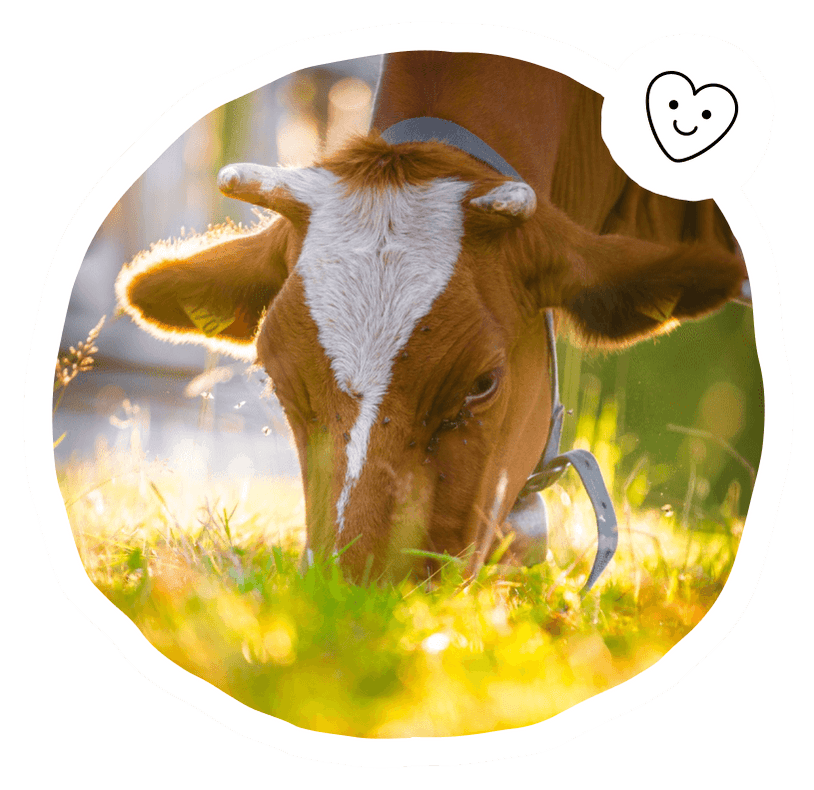 Farmers Juice | Organic Cold-Pressed Juice Delivered To You